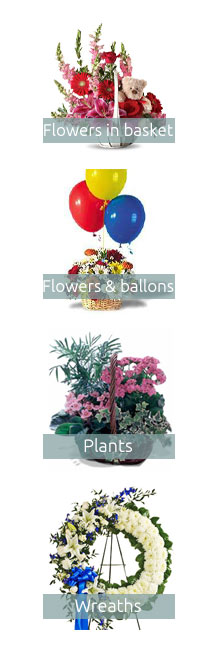 Flowers Lafayette In 🏵️ Jan 2026